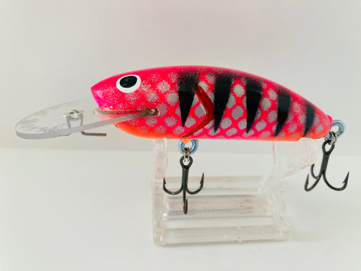 60mm BAD BREED LURES "60 Cut throat" Hard Body Diver – Whacked Lures ...